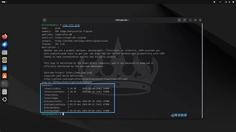 Linux:snap 包管理命令使用指南 系统极客 Linux:snap 包管理命令使用指南 系统极客