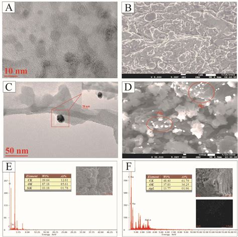TEM Image A And FESEM Image B For GOQD TEM Image C And FESEM Download Scientific Diagram