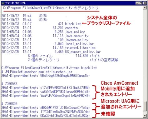 Oracle Java Se Critical Patch Update October