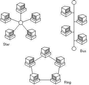 Types Of Network Lasopadesert
