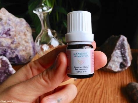 Nebulizing Diffusers Versus Ultrasonic Diffusers Which Is Better Live Love Fruit