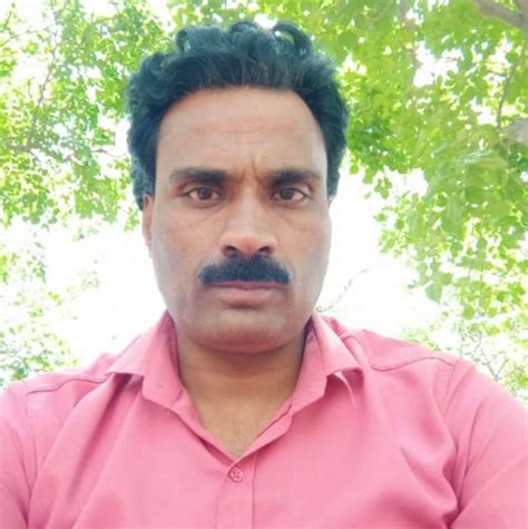 Nature A Vibrant Rural Village Scene In India Captured On A Sunny Day Showcasing Traditional