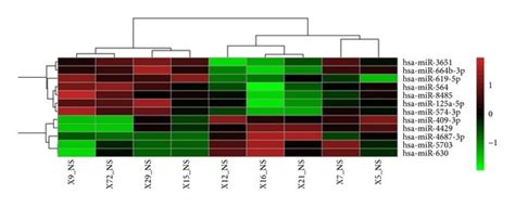 Unsupervised Hierarchical Clustering Heat Map Heat Map Generated By