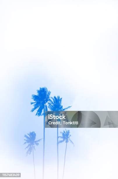 푸른 하늘과 흰색 구름 추상적 인 배경에 태양 빛열대 야자수의 공간을 복사합니다 여름 휴가 와 자연 여행 모험 개념 빈티지 톤 필터 효과 색상 스타일입니다 0명에 대한 스톡