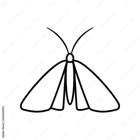 Black And White Butterfly Luna Moth Clipart Vector Image 3991803