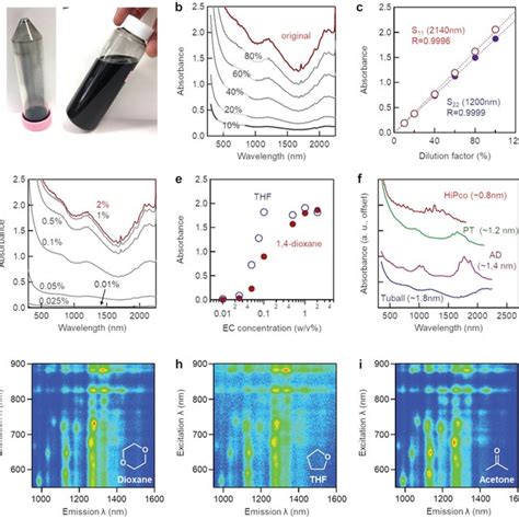 Schematic Plausible Molecular Interactions A Solvent Surfactant And Download Scientific