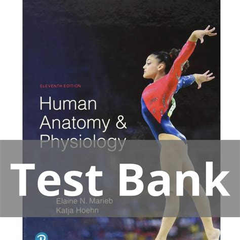 Human Anatomy And Physiology 11th Edition By Elaine Marieb Test Bank