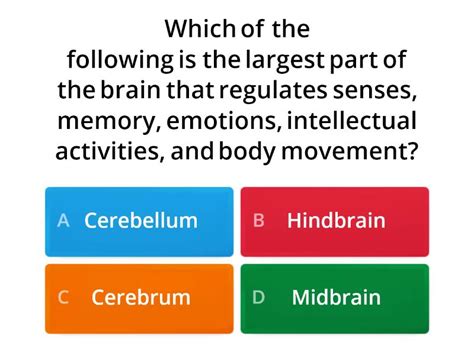 Assessment Brain Quiz