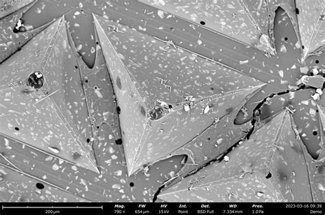 From Photons To Electrons Optical And Electron Microscopy