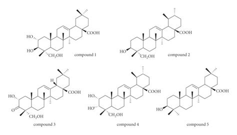 Structures Of The Triterpenoids From The Triterpenoid Enriched Fraction Download Scientific