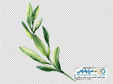 دانلود نقاشی برگ 03232235