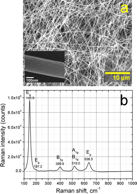Sem And Hr Sem Images A And Raman Spectrum B For Annealed Tio2