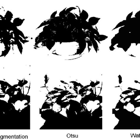 Comparison Of Plant Segmentation Results Of Different Algorithms Under Download Scientific