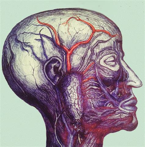 Dr Vakhtang Dr Vakhtang Meskhi • ყბა სახის ქირურგი