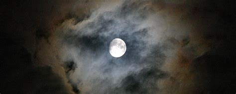 Monsters Moonshine And Shadows