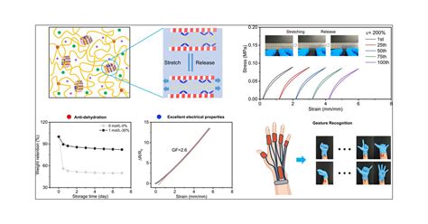 Low Hysteresis Hydrogels With Antidehydration As A Stretchable Strain