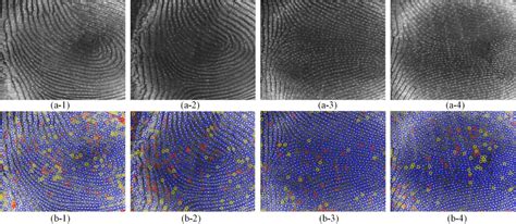 Pore Extraction Examples Of The Dilated UNet Download Scientific Diagram