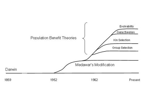 Wear And Tear Theory Of Aging