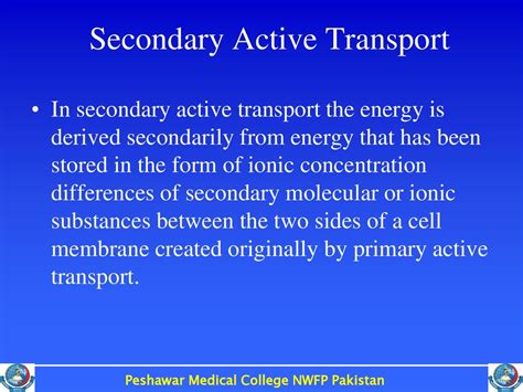 Secondary Active Transport