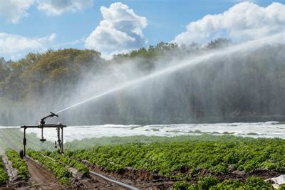 Intelligent Computing In Farmland Water Conservancy For Smart