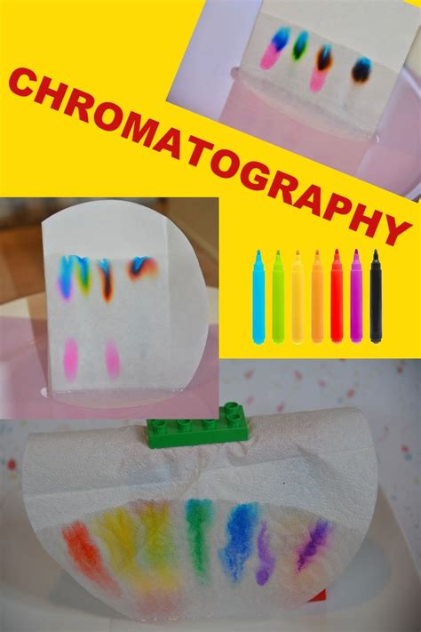 Paper Chromatography Science Fair Project At Mark Cox Blog