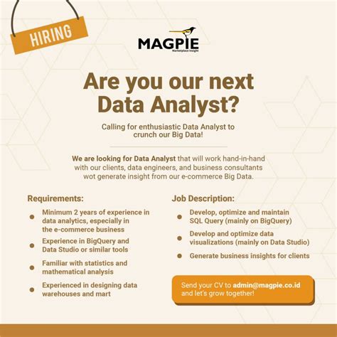 Are You Our Next Data Analyst Magpie
