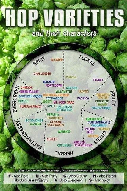 Chart Of Different Varieties Of Hops With Their Characters Homebrewing