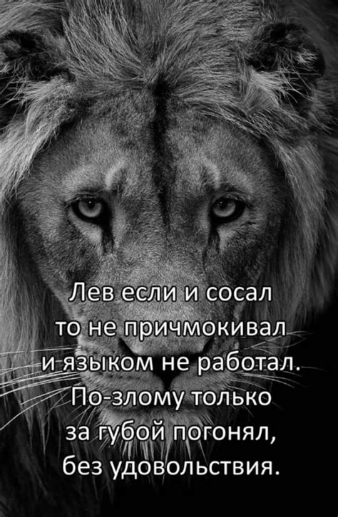 Лев если и сосал что за мем лев делал без удовольствия
