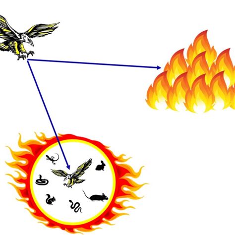 Schematic Presentation Of The Fire Hawks Position Updating Process In