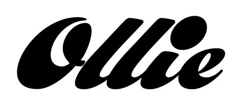 E Bikes And E Trikes Ollie