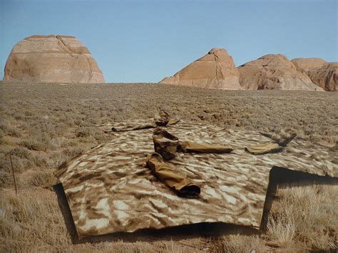 Elevation Of Lockheed Martin Oak Rd Ocala Fl Usa Topographic Map