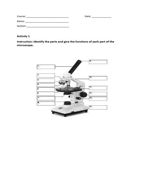 Activity 1 Compound Microsope Pdf