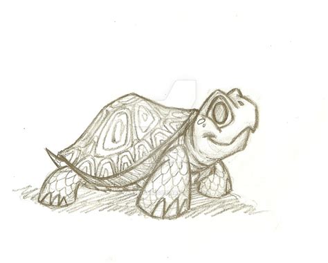 Cute Turtle Sketch At Explore Collection Of Cute
