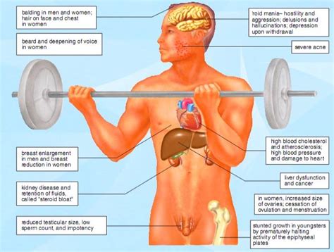 Side Effects Of Anabolic Steroids Medchrome