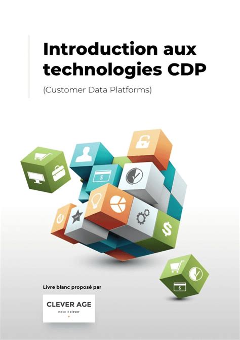 Introduction Aux Technologies Cdp Customer Data Platforms Clever Age
