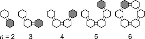 Formation Of The Rosette In Five Steps By A Stepwise Addition Of Download Scientific Diagram
