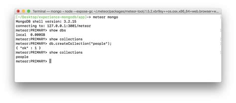 E391 Experience The Mongodb Shell Ics 314 Fall 2017