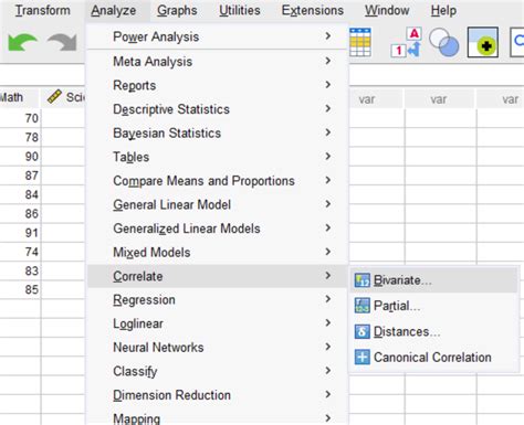 How To Calculate Spearman Rank Correlation In Spss