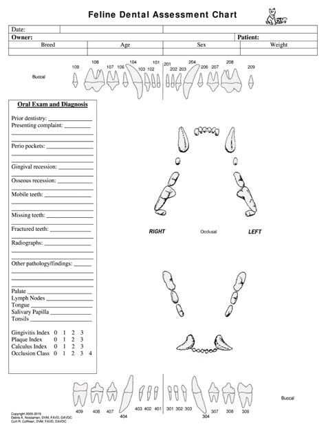 Feline Dental Chart Printable Free Printable