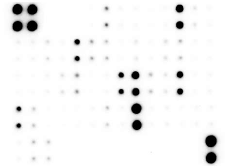 Cytokine Arrays Raybiotech