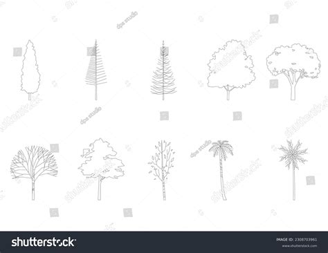 Tree Line Drawing Side View Graphics Stock Vector Royalty Free 2308703961 Shutterstock