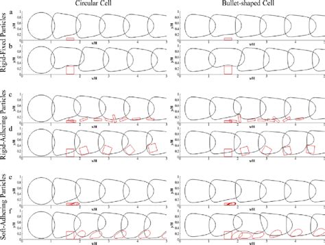 Figure 1 From Predicting The Vascular Adhesion Of Deformable Drug