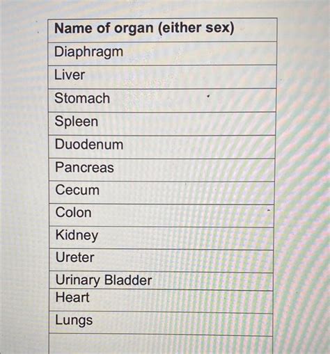 Solved 1 3 4 Co 5 Identify The Rat Organs Labeled Above 1