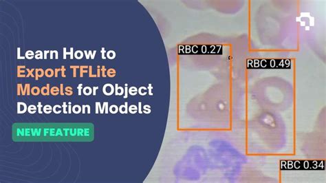 Datature On Linkedin Learn How To Export Tflite Models For Object