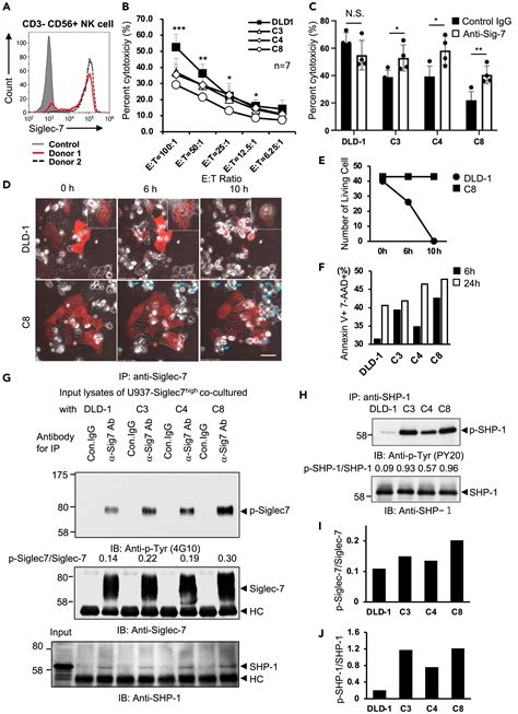 Bidirectional Signals Generated By Siglec 7 And Its Crucial Ligand Tri