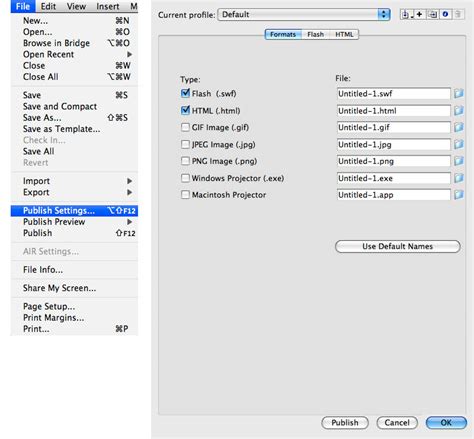 Flash Actionscript Einstellungen Und Vorüberlegungen Beim Erstellen Von Dokumenten