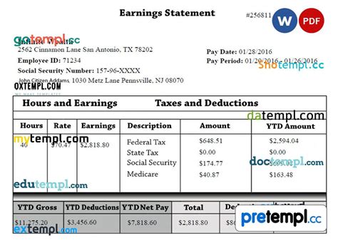 Infinite Wealth Australian Earning Statement Example In Word And Pdf