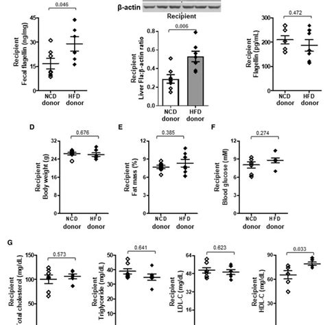 Hdl C High Density Lipoprotein Cholesterol Level Is Elevated By The