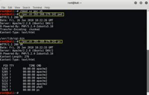 PHP CGI Argument Injection With Metasploit Framework Yeah Hub