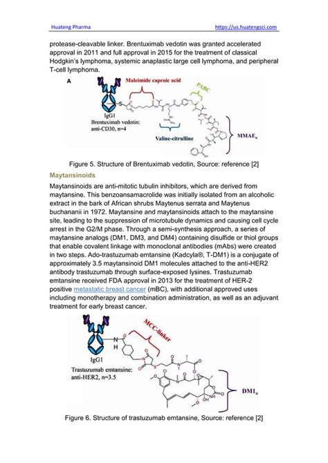 A Comprehensive Guide To Adc Payload Classes Pdf